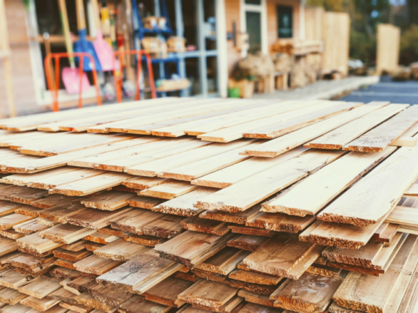 Lumber Yard | white cedar | Hardware Store | native plants